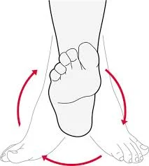 12 Best Exercises for Ankle Pain - Home Physiotherapy