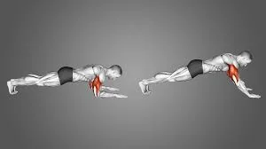 17 Best Forearm Strengthening Exercises - Forearm Workout